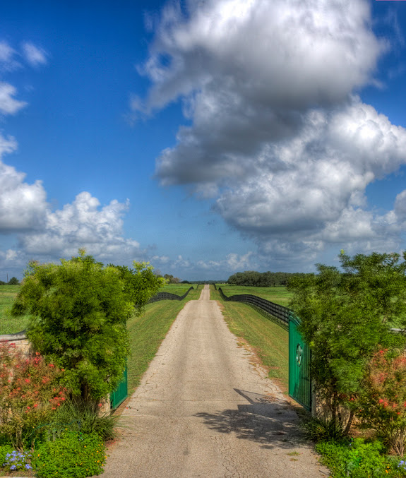 The Arbor Behavioral Healthcare | Addiction treatment center in TX